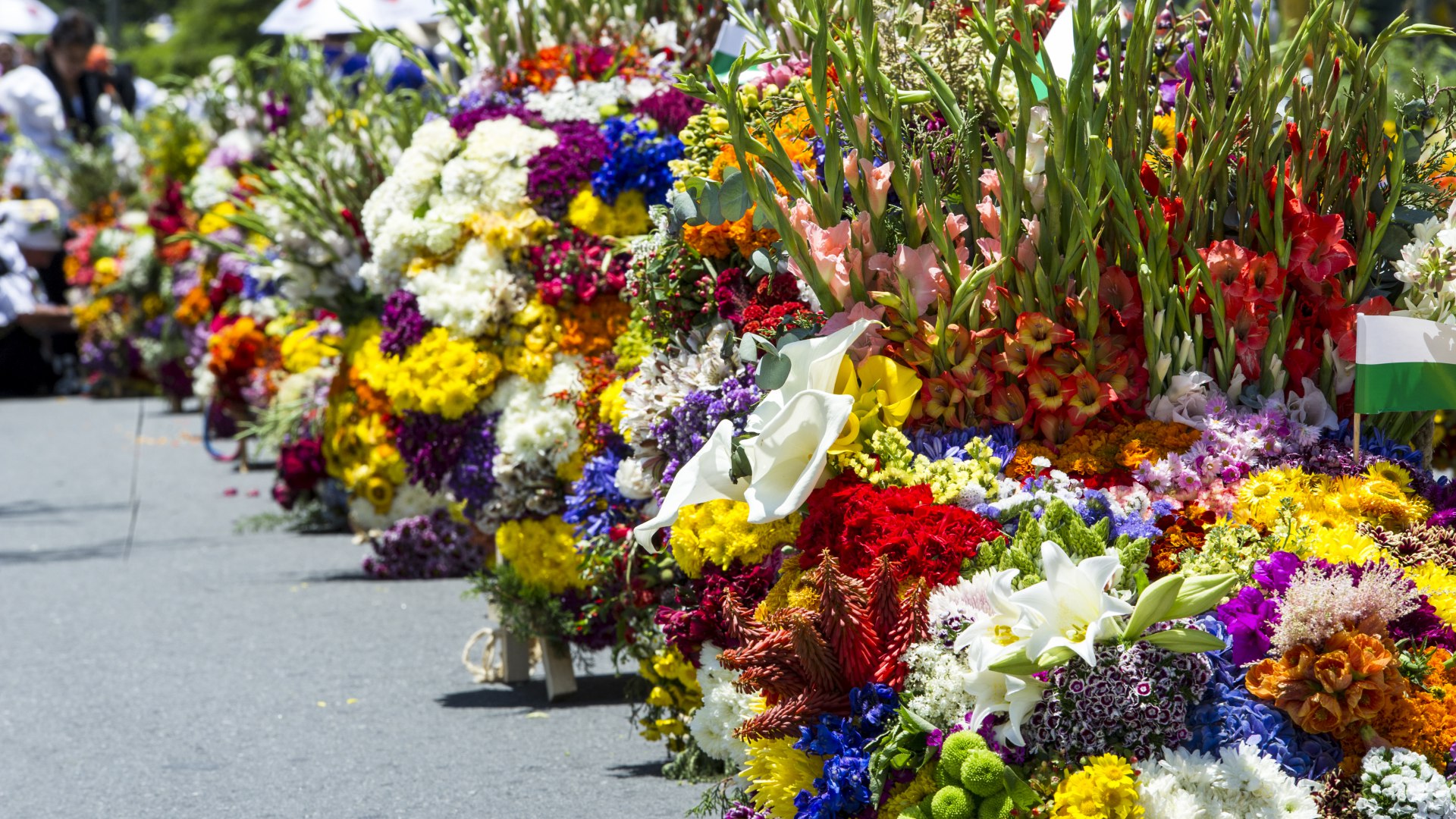 La fête des fleurs à Medellín - Terra Colombia