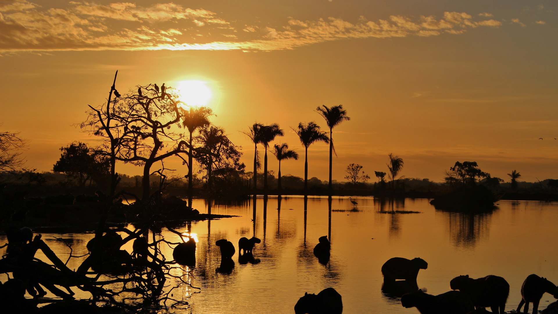 Voyage spécial photo Colombie - Terra Colombia