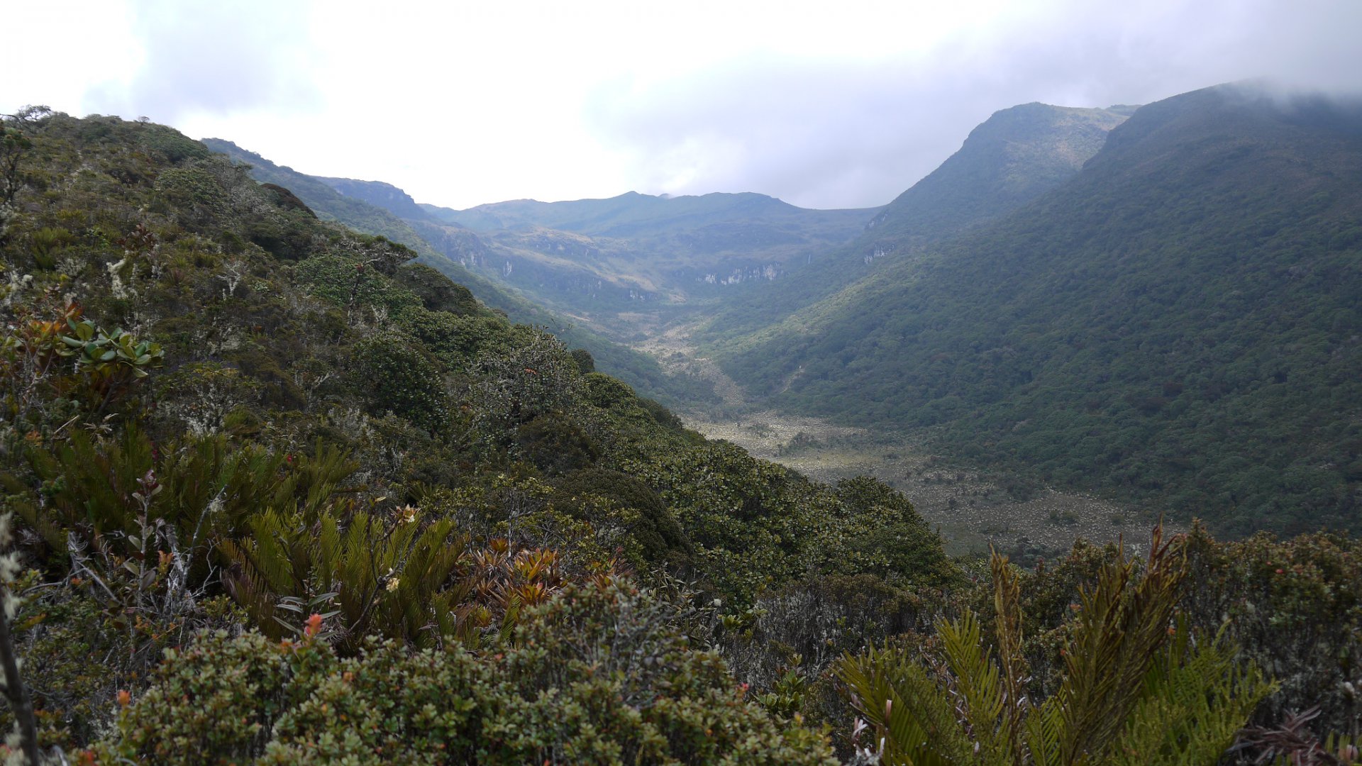 En reconnaissance dans le Cauca - Terra Colombia